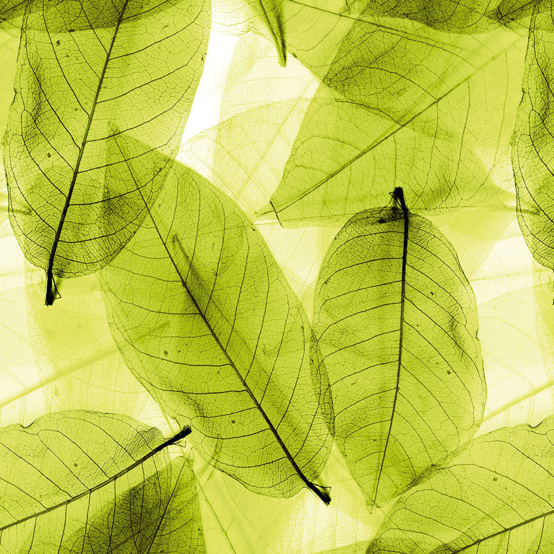 Glass printings for backsplashes - a wide range of patterns | Tecglass